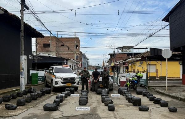 La Policía Incauta 265 Kilos De Marihuana En La Vía Florida Cali